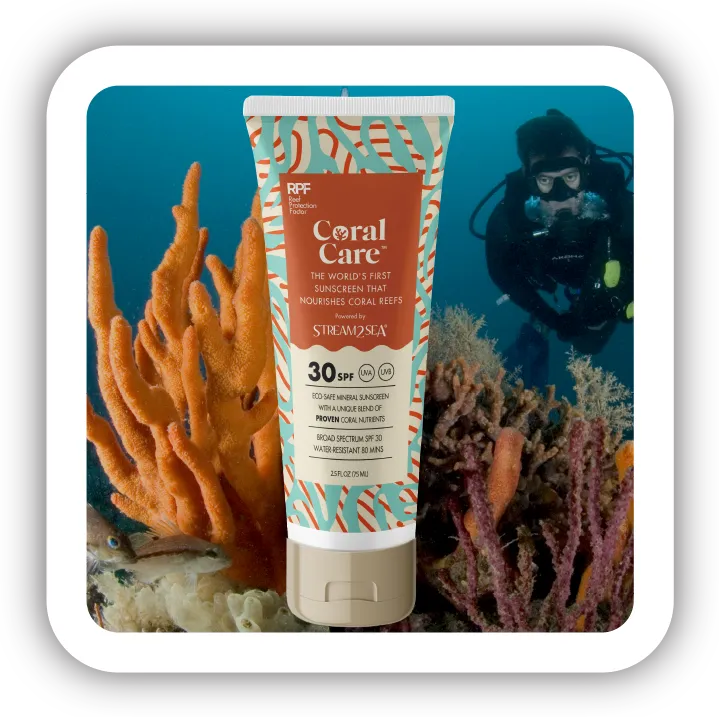 Coral Safe Sunscreen Collection – Stream2Sea Global